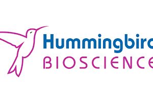 Hummingbird Bioscience adds CBO to its leadership team | The Pharmaletter